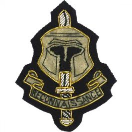 Special Reconnaissance Regiment Beret Badge