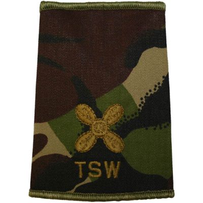 RAF Rank Slides, CS95, (J/Tech), TSW